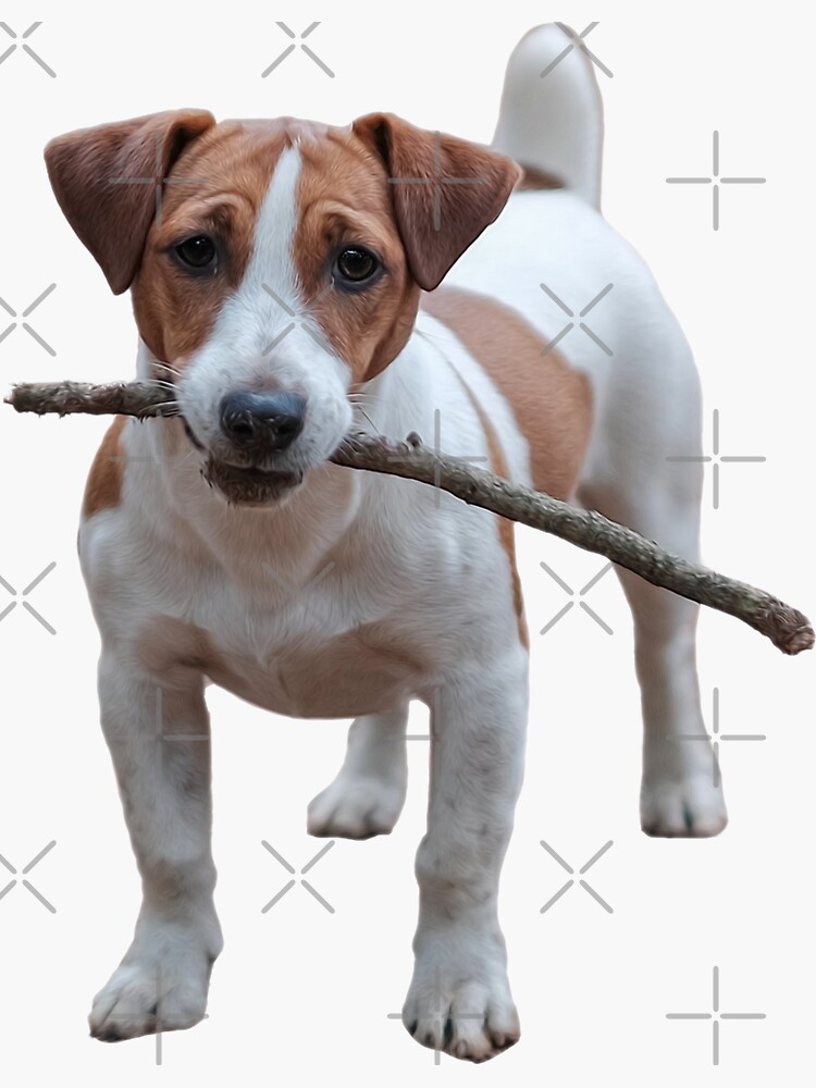 "Jack Russell Terrier with a Stick" Sticker for Sale by CritterSticker ...