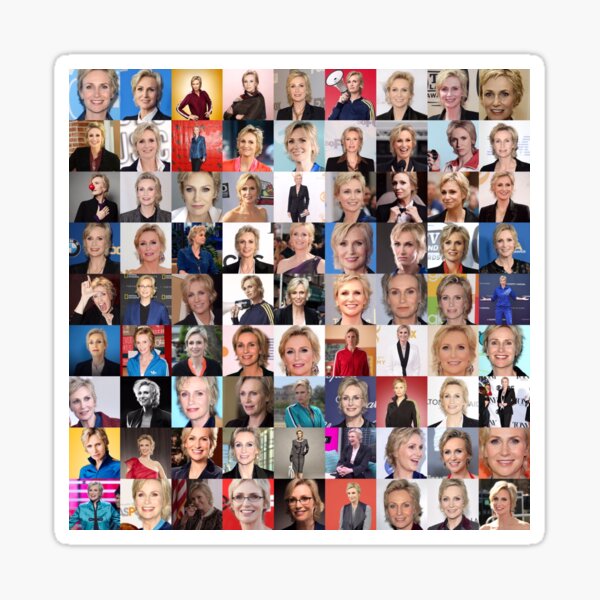 "Jane Lynch Collage - Many Items Available" Sticker by fandomxclothing ...