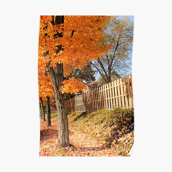 ", Bright orange trees " Poster for Sale by picsbysusan | Redbubble