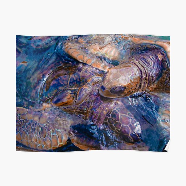 "Turtle Gathering" Poster for Sale by phmanipulations | Redbubble
