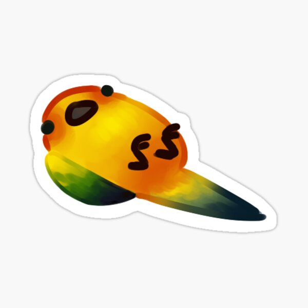 Sun Conure Gifts & Merchandise | Redbubble