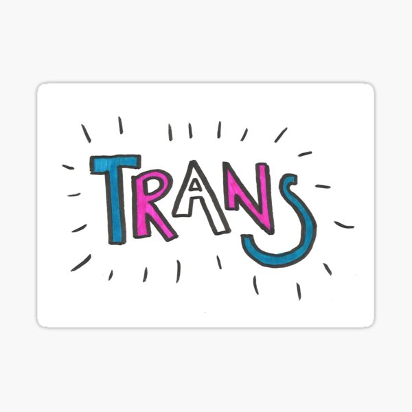 "trans!" Sticker by indifferentbear | Redbubble