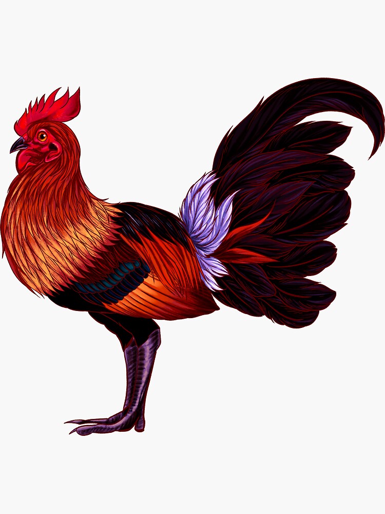"Red Junglefowl, Gallus gallus" Sticker for Sale by Jojo-Tiger | Redbubble
