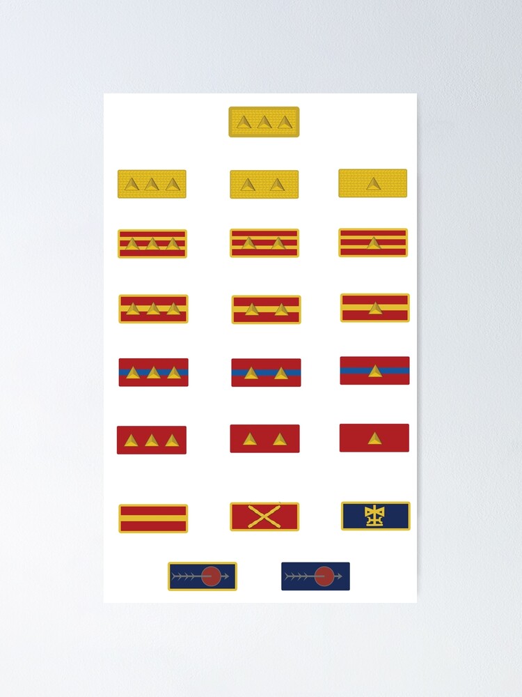 Poster « Insignes de grade militaire de l'Armée nationale ...