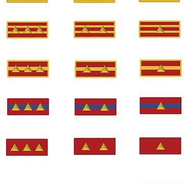 "Chinese National Revolutionary Army (NRA) Military Rank badges ...