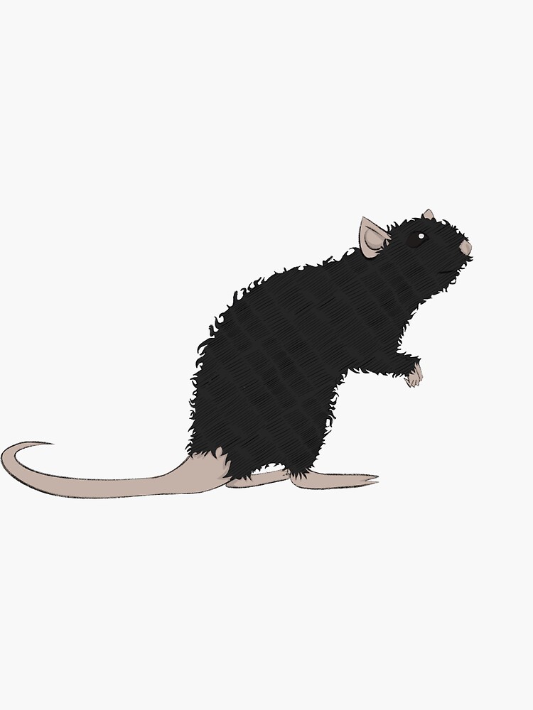 "Black Rex rat" Sticker for Sale by RatRancid | Redbubble
