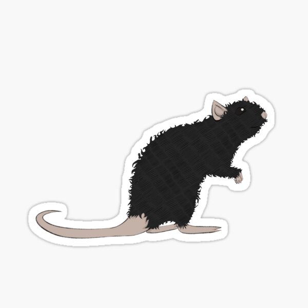"Black Rex rat" Sticker for Sale by RatRancid | Redbubble