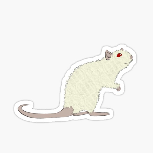 "White Rex rat" Sticker for Sale by RatRancid | Redbubble