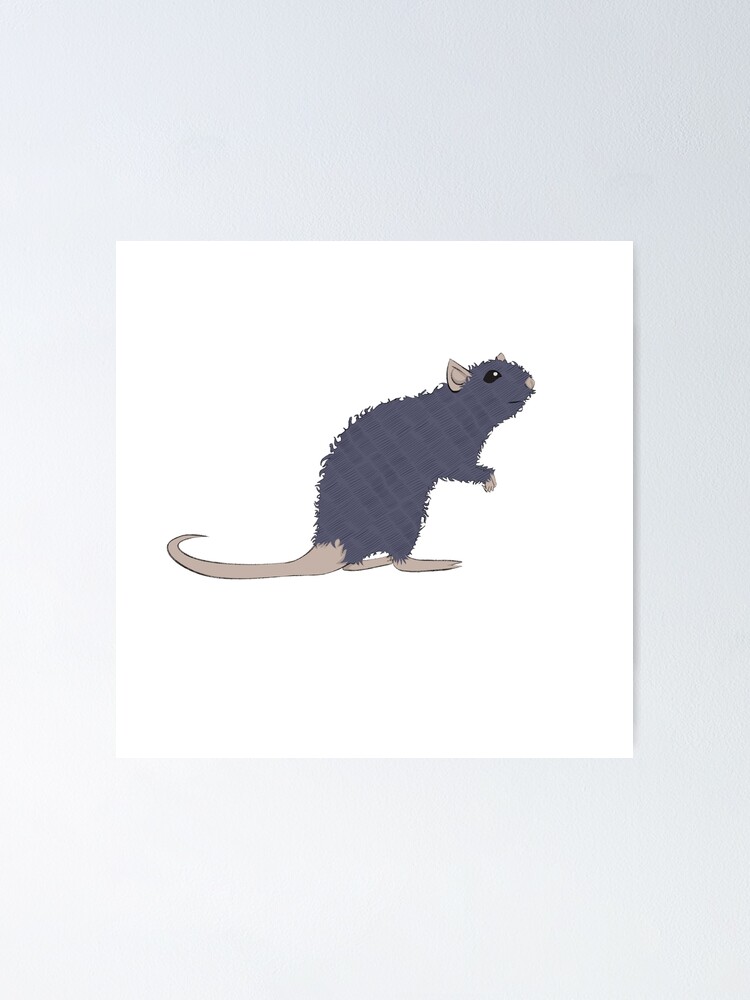 "Russian blue Rex rat" Poster for Sale by RatRancid | Redbubble