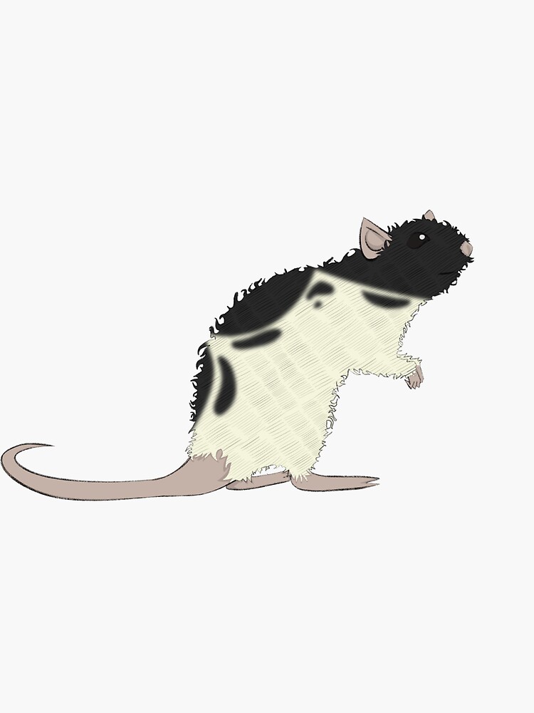 "Black hooded Rex rat" Sticker for Sale by RatRancid | Redbubble
