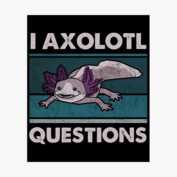 Lámina fotográfica «Meme Anime Axolotl Preguntas Cute Axolotl Sayings ...
