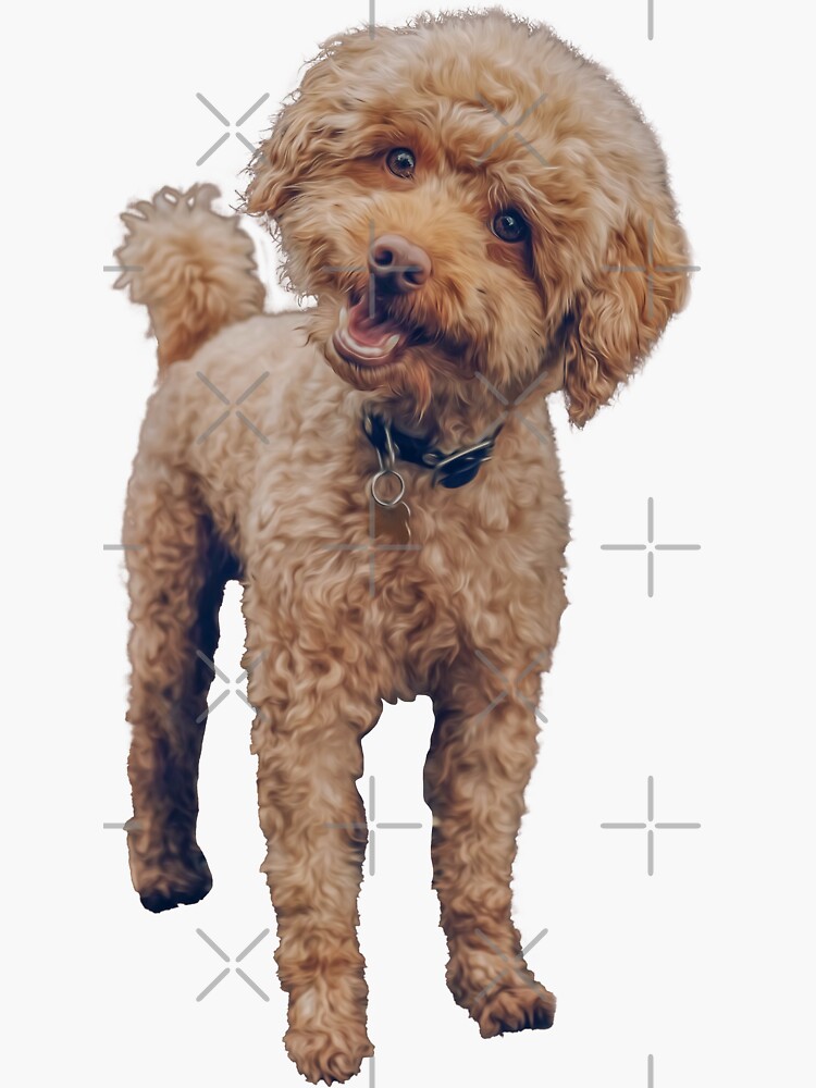 "Smiling Poodle" Sticker for Sale by CritterSticker | Redbubble