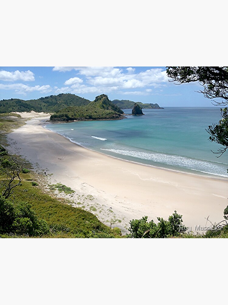 "Awana Beach..........Great Barrier Island..........!!" Poster by Roynz ...