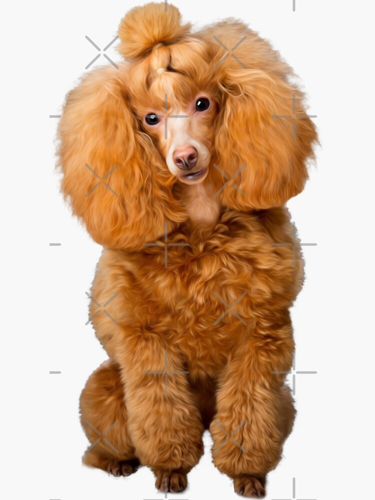 "Fancy Poodle Dog" Sticker for Sale by CritterSticker | Redbubble