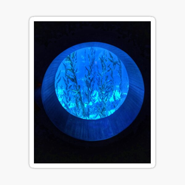 "Aquarium Porthole" Sticker for Sale by SallyHammond | Redbubble