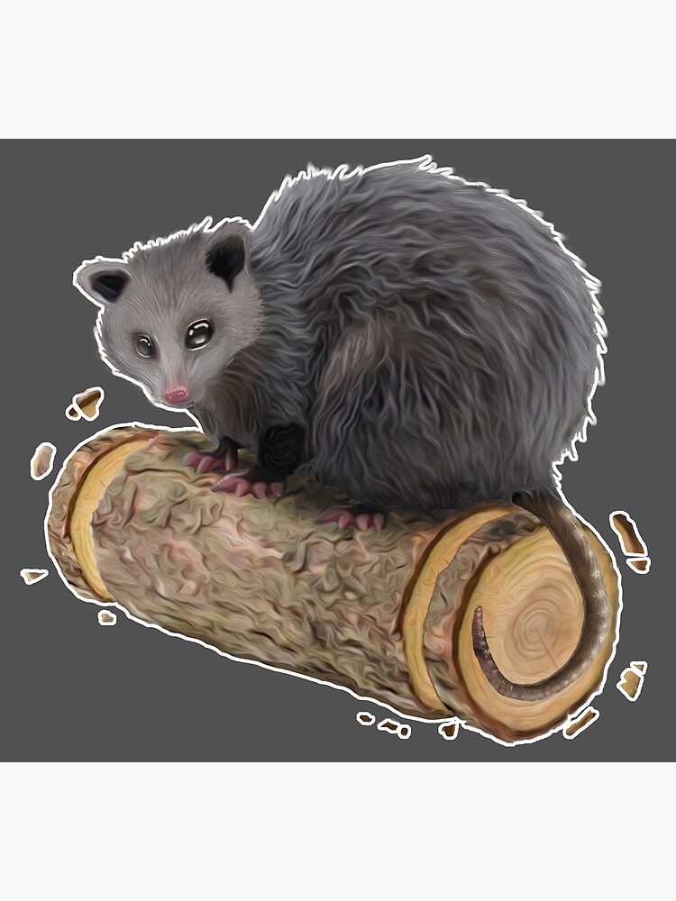 "Fat Possum" Poster for Sale by kruk | Redbubble