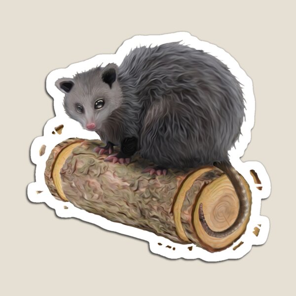 Fat Possum Gifts & Merchandise | Redbubble