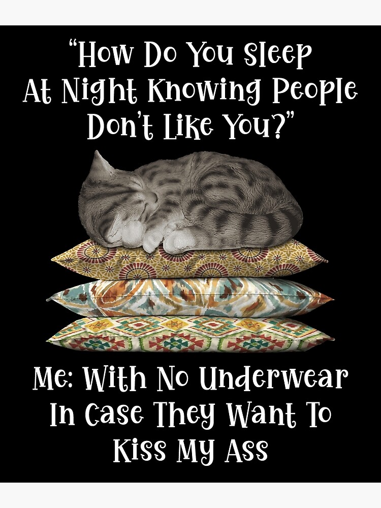 "How do you sleep at night knowing people don't like you cute cat funny ...