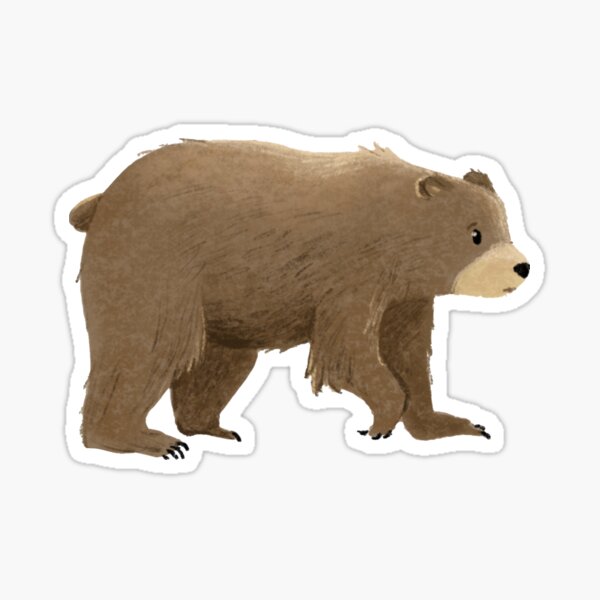 "Illustrative Brown Bear" Sticker for Sale by Windsweptartco | Redbubble