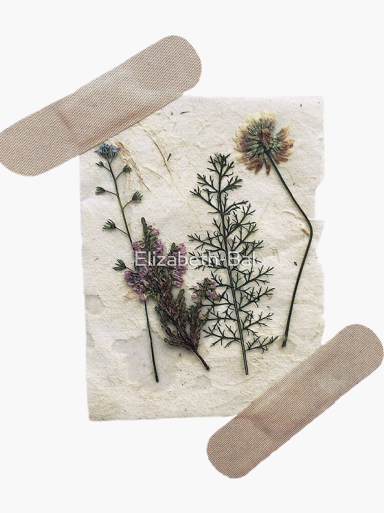 "Aesthetic cottagecore flower sticker" Sticker for Sale by Elizabeth ...
