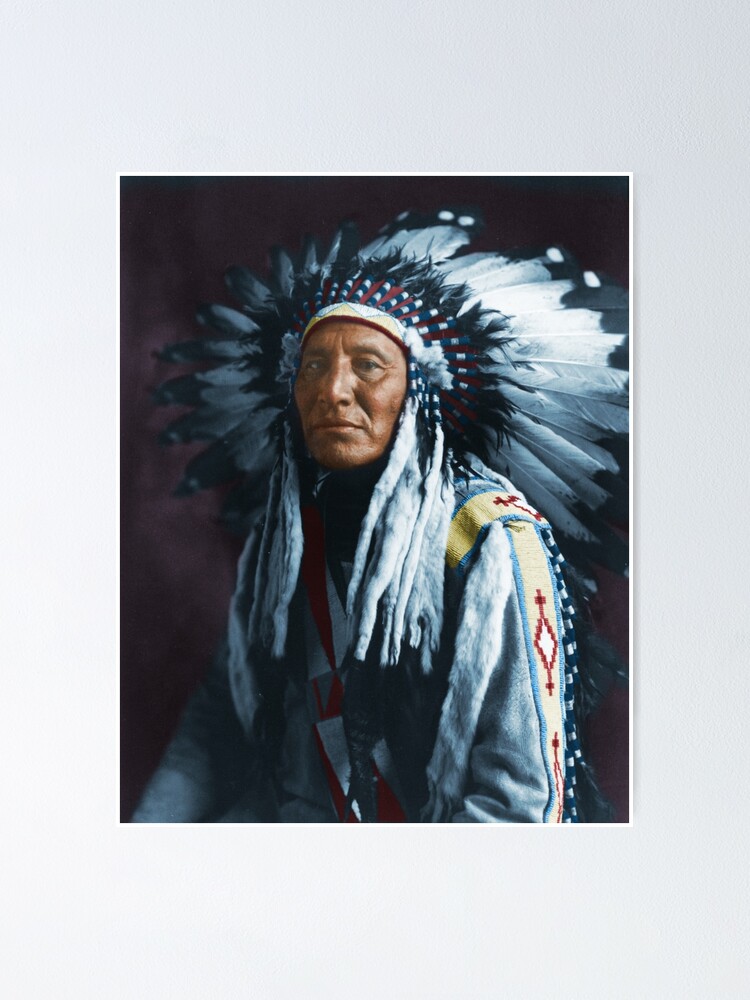 "American Indian Chief" Poster for Sale by DanKeller | Redbubble
