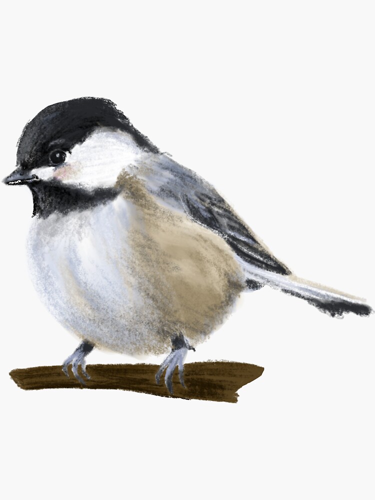 "Chickadee " Sticker for Sale by Windsweptartco | Redbubble