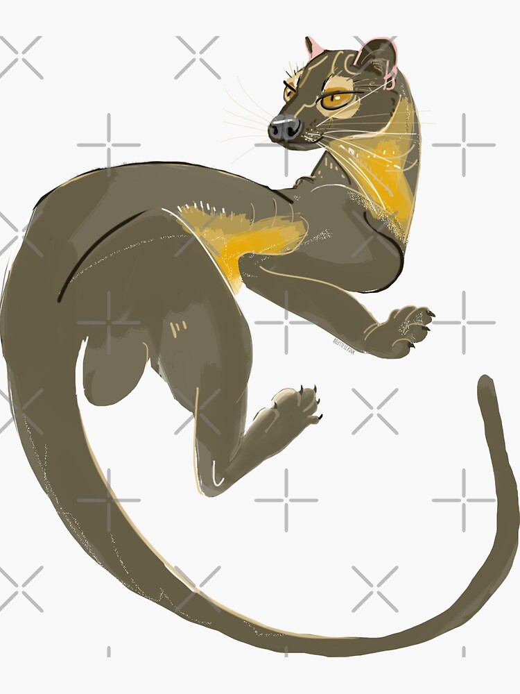 "Fossa Wild Art " Sticker for Sale by belettelepink | Redbubble