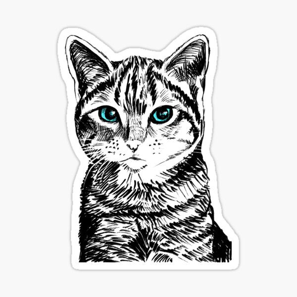 "Cat with blue eyes" Sticker for Sale by sarodigiart | Redbubble