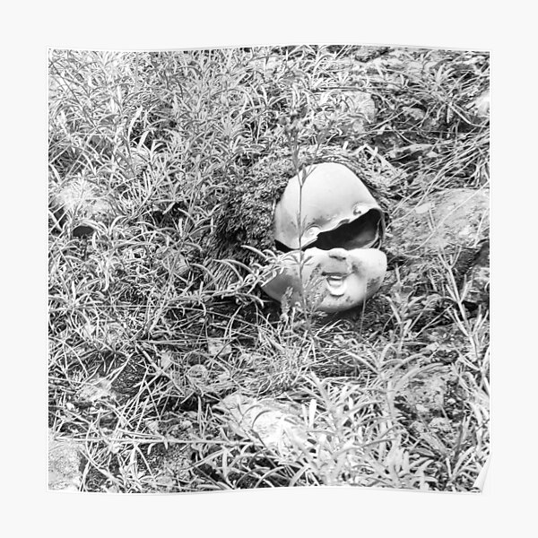 "Cracked" Poster for Sale by ayrilamalar | Redbubble