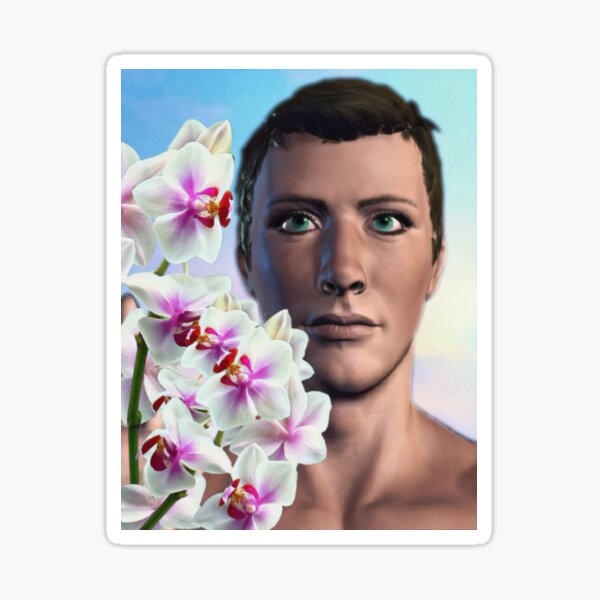 "Cullen" Sticker for Sale by MYHauger22 | Redbubble