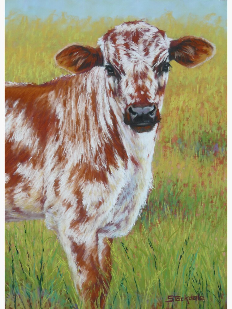 "Speckled Calf Portrait" Sticker for Sale by margie | Redbubble
