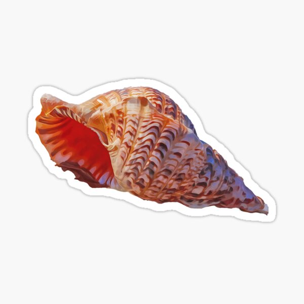 "Watercolor Seashell - Conch" Sticker for Sale by CritterSticker ...