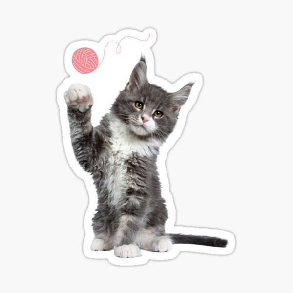"Cat reaction" Sticker for Sale by CorneliusDesign | Redbubble