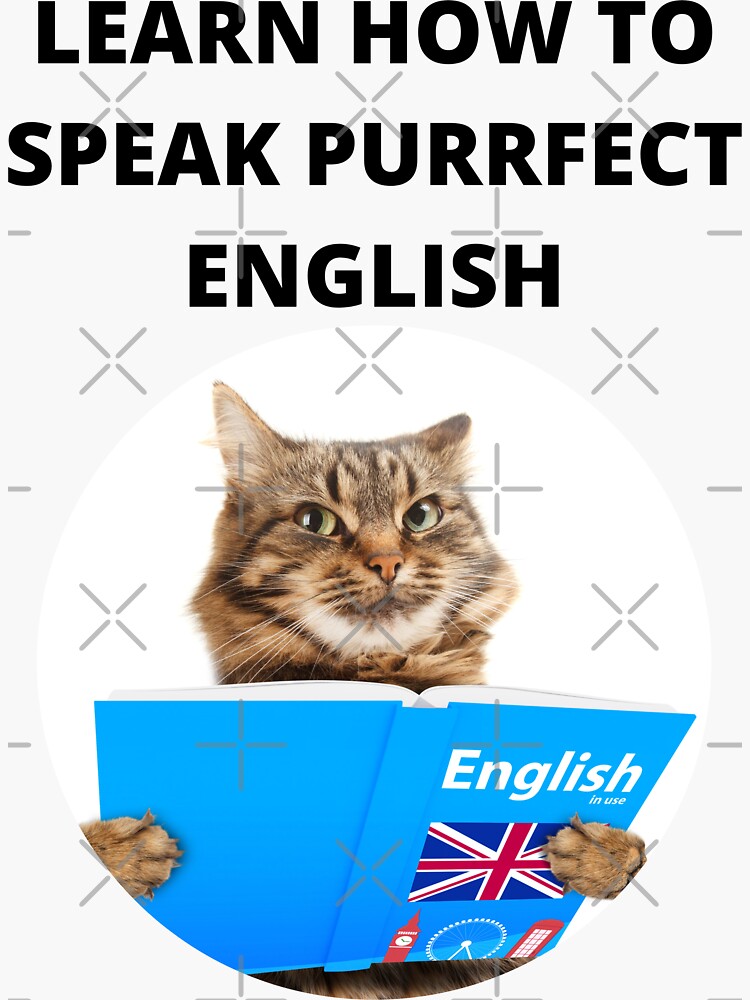 "Learn how to speak purrfect English, funny teacher meme, funny ...