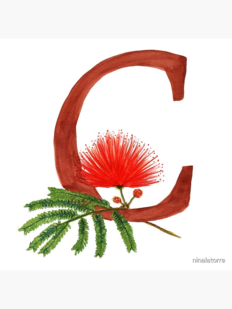 "floral letter c" Poster for Sale by ninalatorre | Redbubble