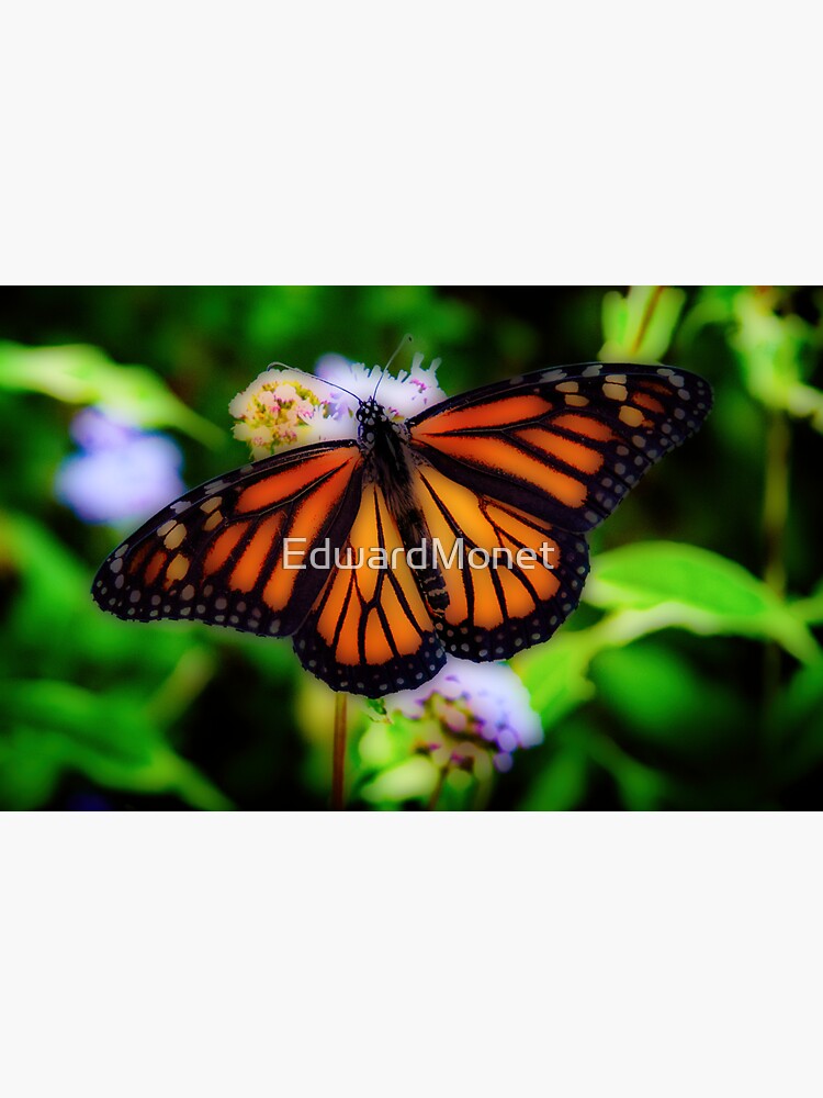 "Magical Monarch" Sticker for Sale by EdwardMonet | Redbubble
