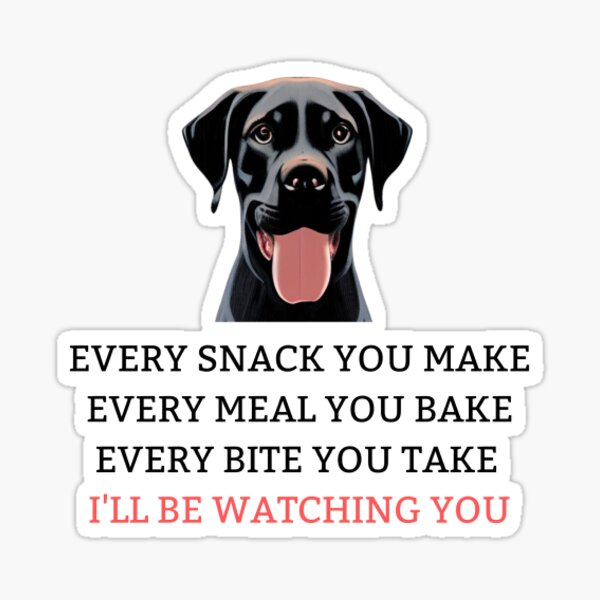"Funny Labrador Lover - Every Snack You Make, Every Meal You Bake ...