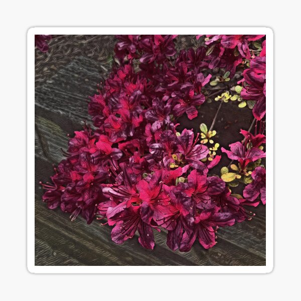 "Azalea Red" Sticker for Sale by SunshineWalker | Redbubble