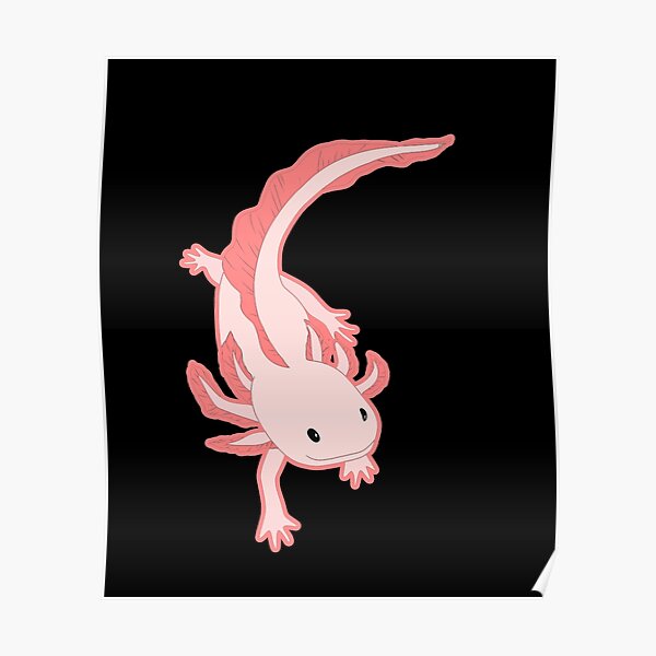 "Cute Axolotl" Poster for Sale by SPONKII | Redbubble