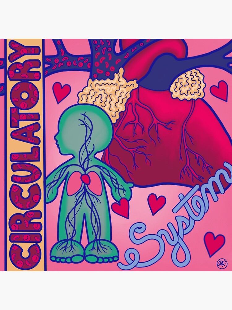 "Circulatory system" Poster for Sale by Mizzzfoster | Redbubble