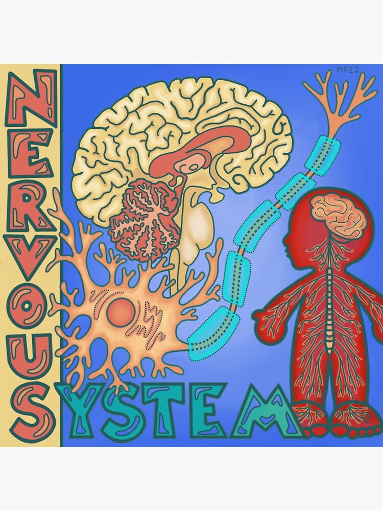 "Nervous system " Poster for Sale by Mizzzfoster | Redbubble