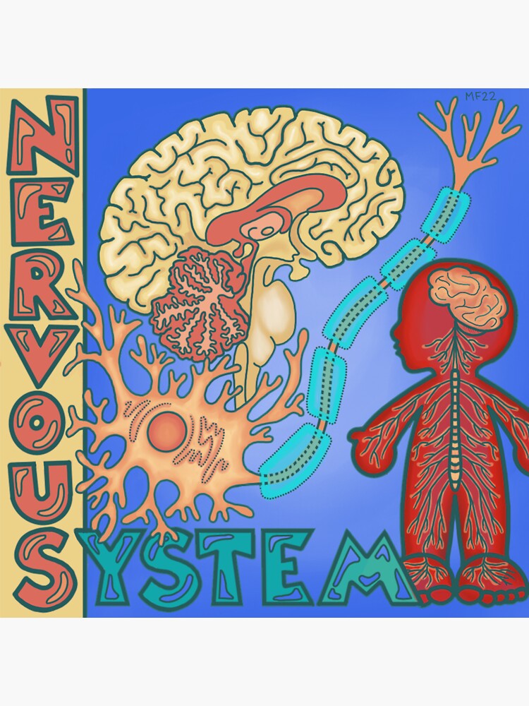"Nervous system " Sticker for Sale by Mizzzfoster | Redbubble