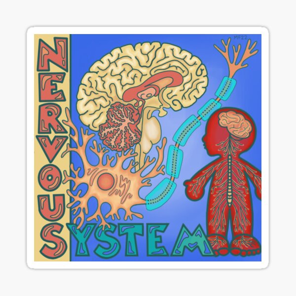 "Nervous system " Sticker for Sale by Mizzzfoster | Redbubble