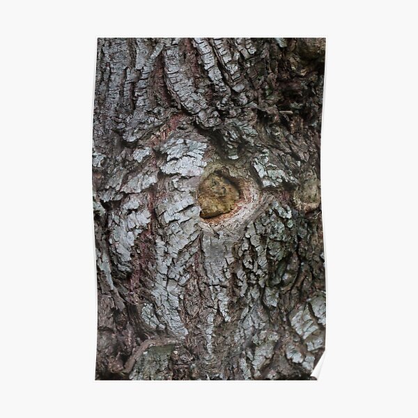 "Wooden Eye" Poster for Sale by cuprum | Redbubble