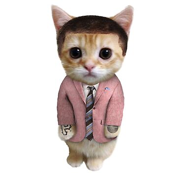 "Mac Meowler" Sticker for Sale by drainsupply | Redbubble