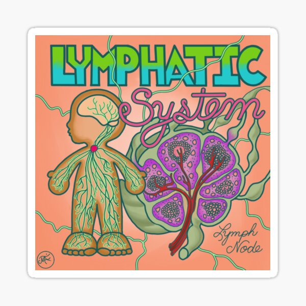 "Lymphatic system" Sticker for Sale by Mizzzfoster | Redbubble