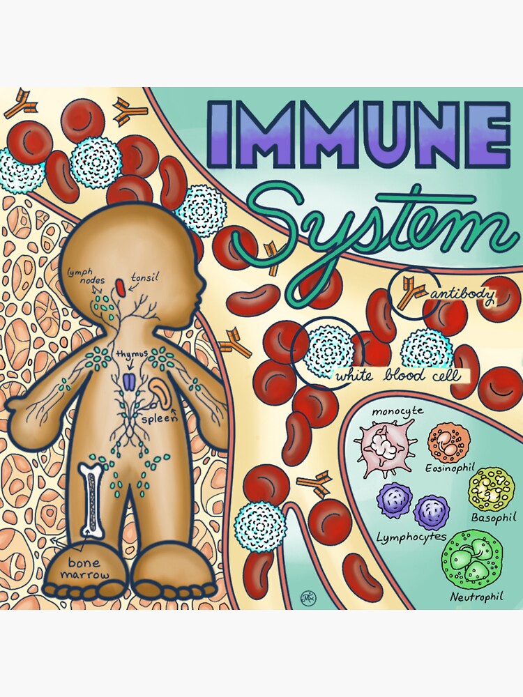"Immune system" Sticker for Sale by Mizzzfoster | Redbubble