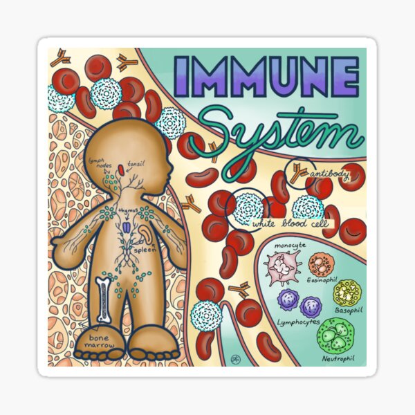 "Immune system" Sticker for Sale by Mizzzfoster | Redbubble