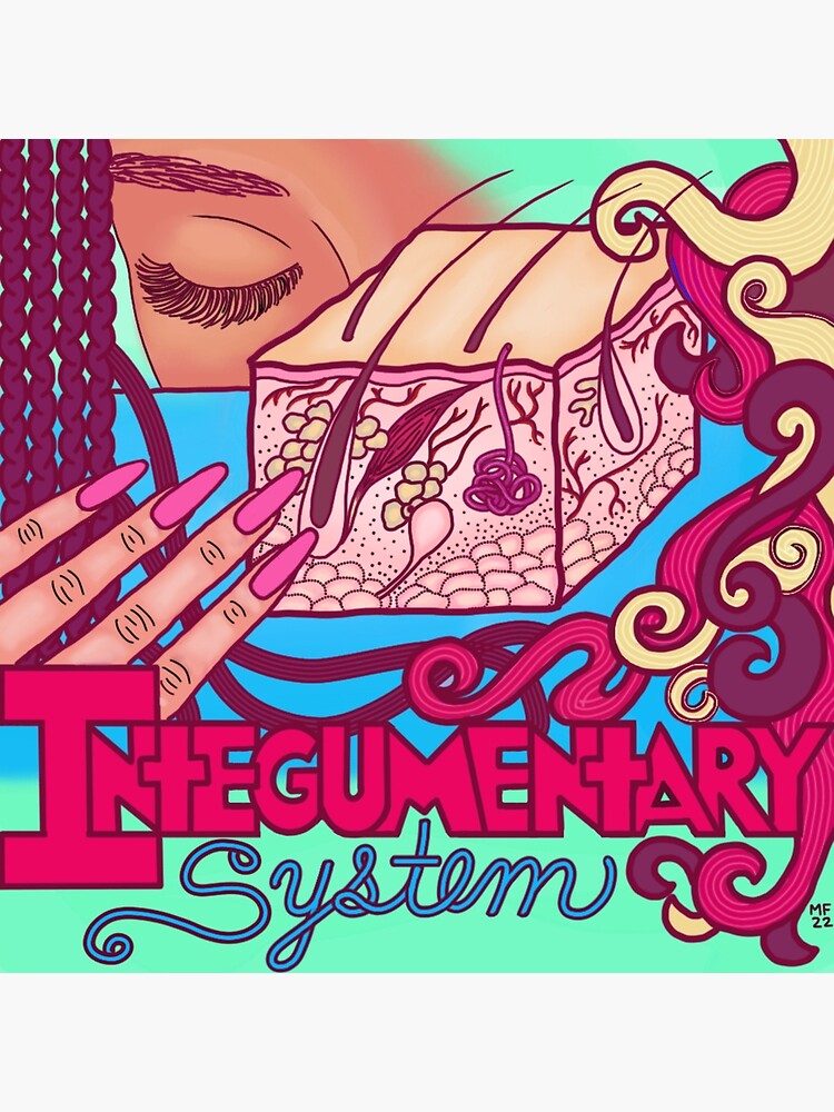 " Integumentary system" Poster for Sale by Mizzzfoster | Redbubble