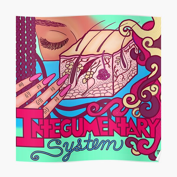 " Integumentary system" Poster for Sale by Mizzzfoster | Redbubble